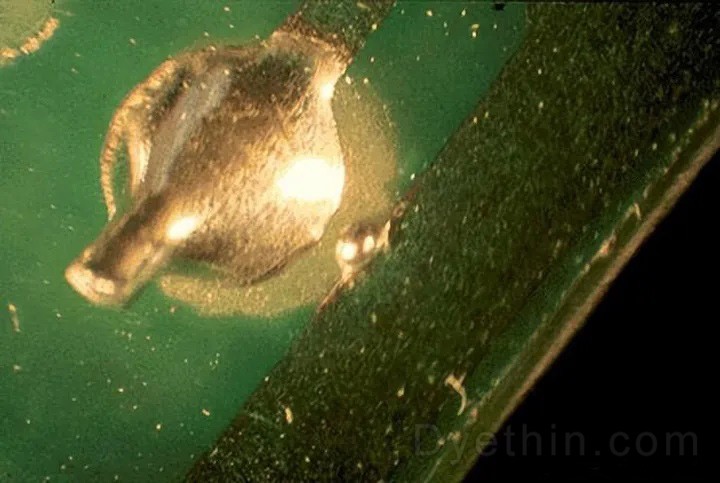 What are the causes of PCB soldering defects? - Dyethin