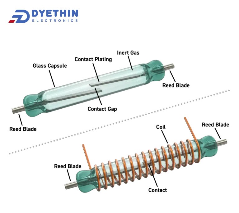 The Principle and Application of Reed Switch - Dyethin